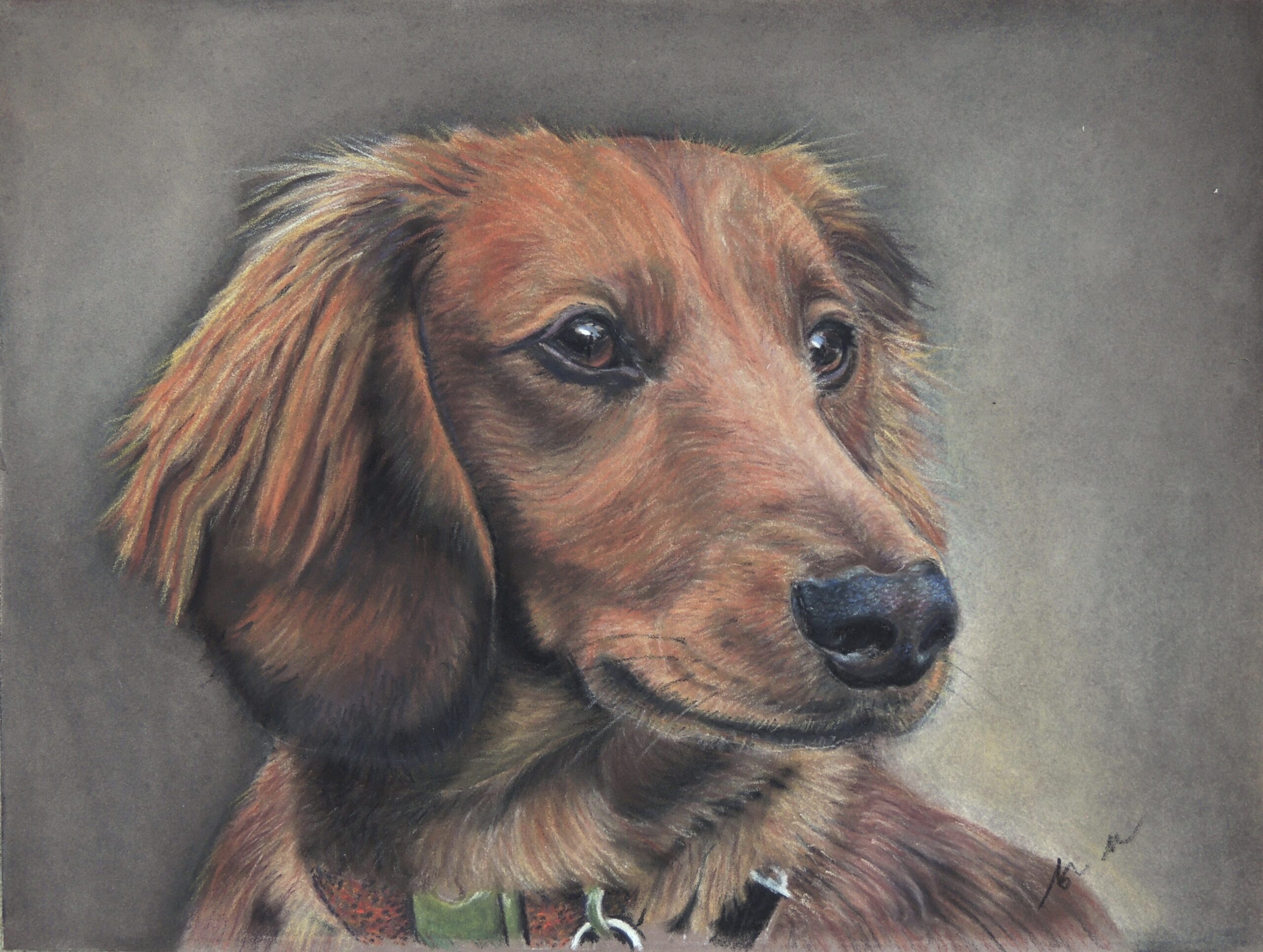 Commission Process - Pet Pastel Portraits